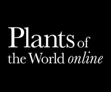 Arbutus unedo (Strawberry Tree) : MaltaWildPlants.com - the online ...